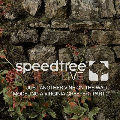 Sarah Scruggs - Portfolio