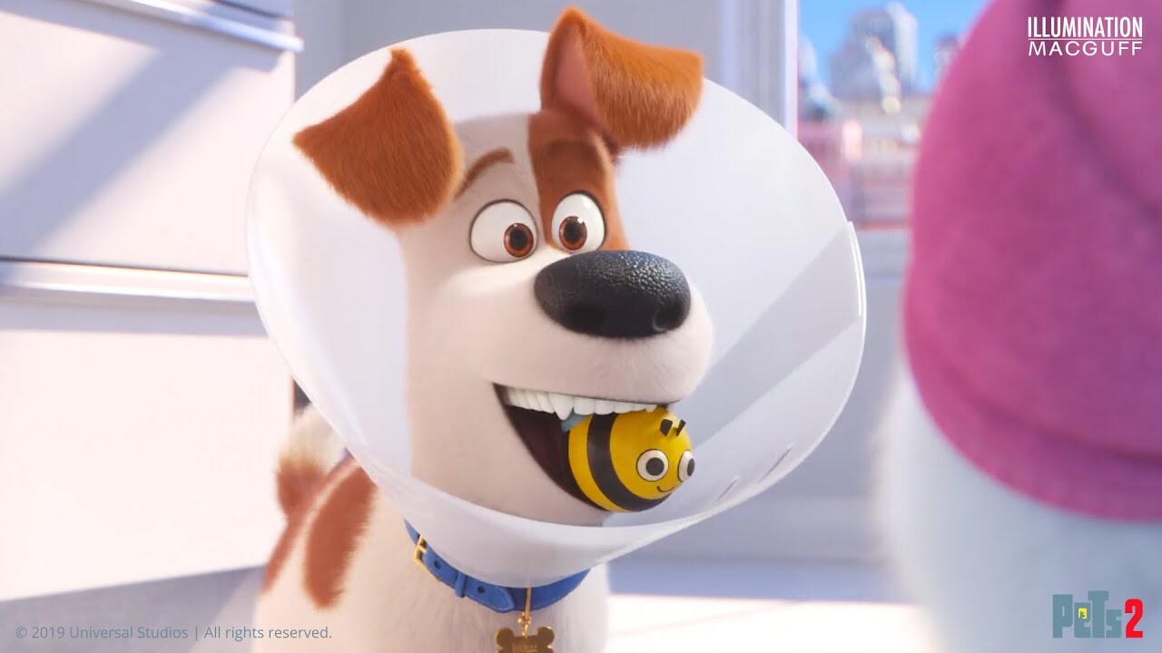 ArtStation - Pets 2 | Animation Reel | Raphaela Burdis