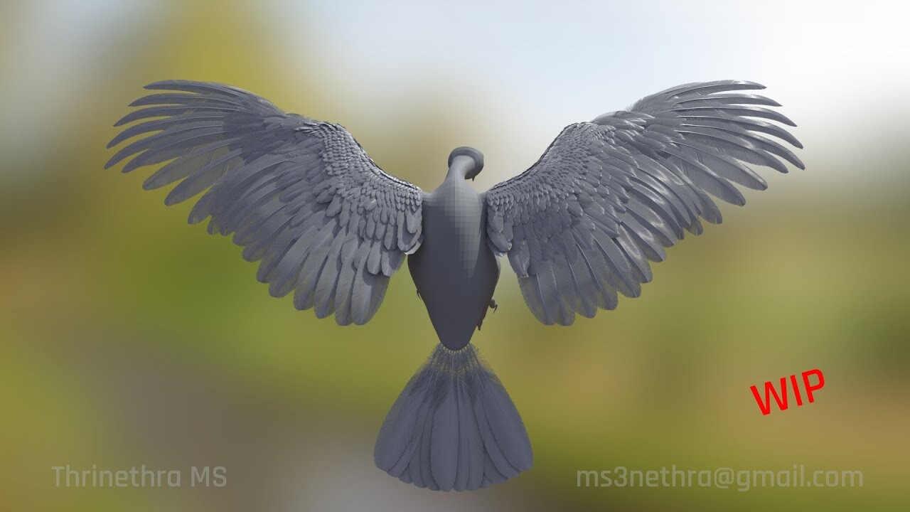 ArtStation - Eagle | Wing Fold updated | Yeti Feathers | Maya