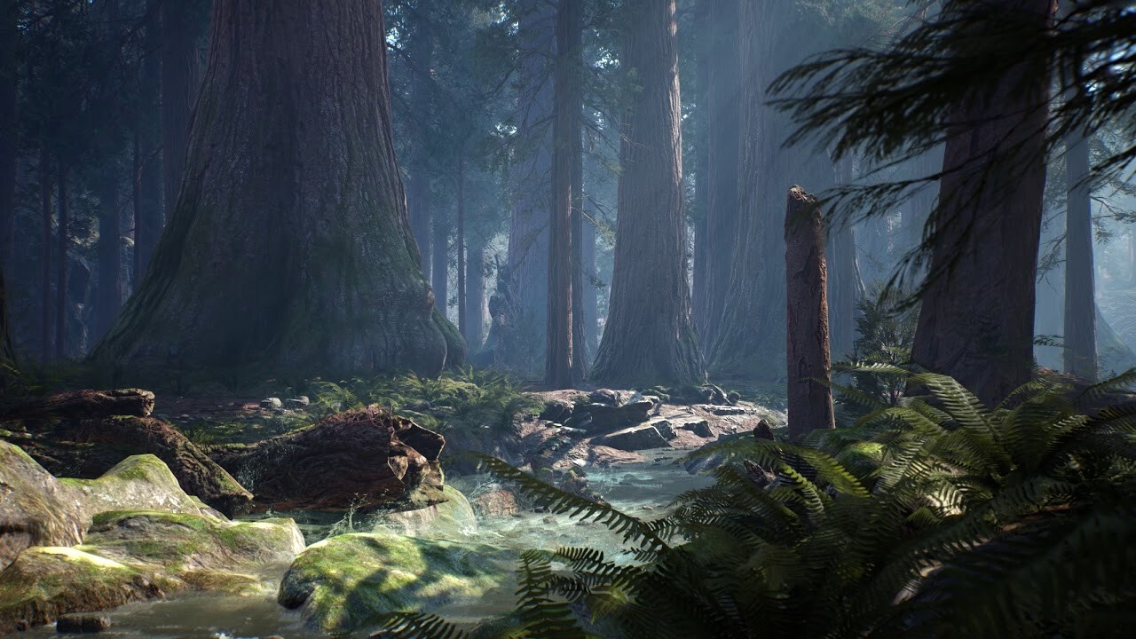 ArtStation - UE4 forest scene lighting