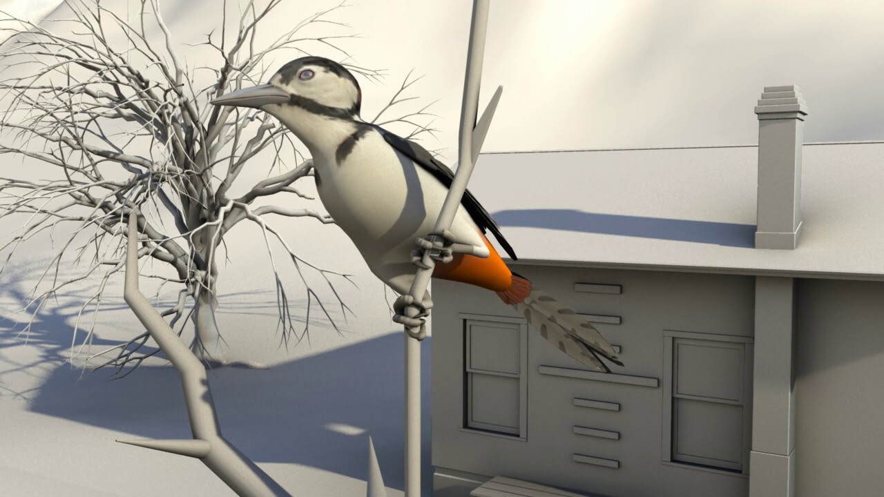 ArtStation - Bird 3D Animation