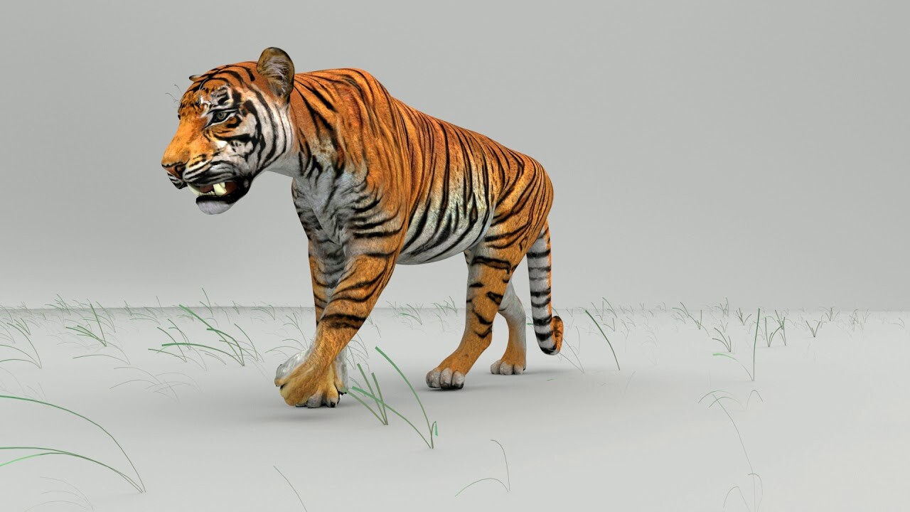 ArtStation - Tiger Walk