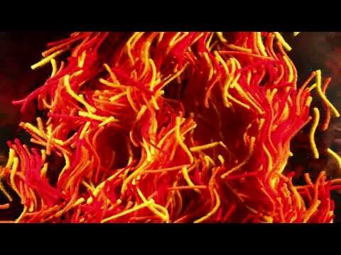 ArtStation - Bushfires - stopmotion student animation short film