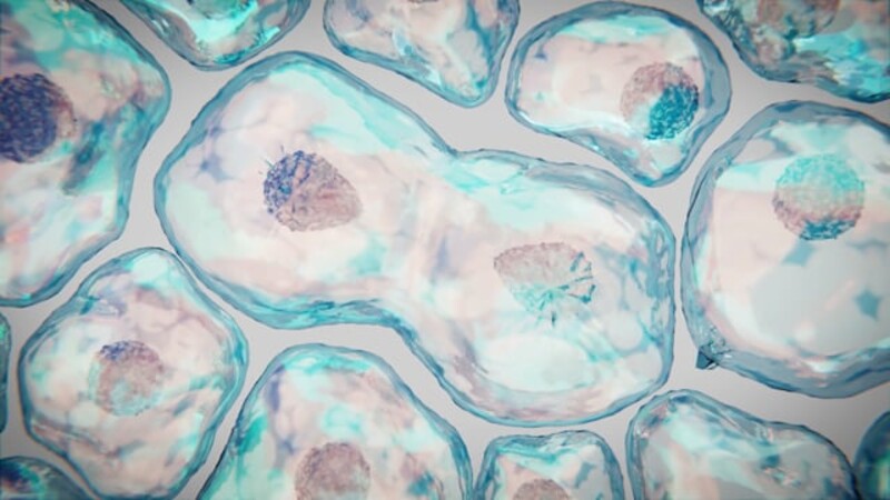 ArtStation - Julie Lepelé