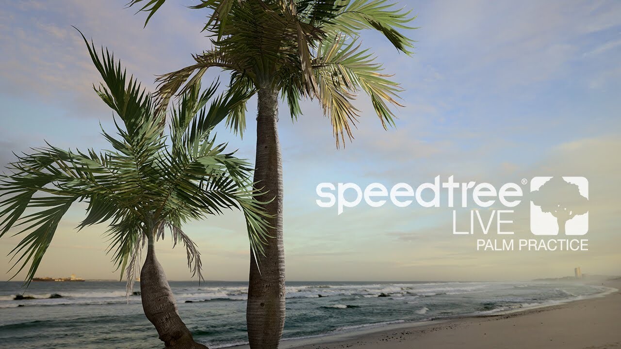 ArtStation - Bottle Palm: SpeedTree Live Palm Tutorial
