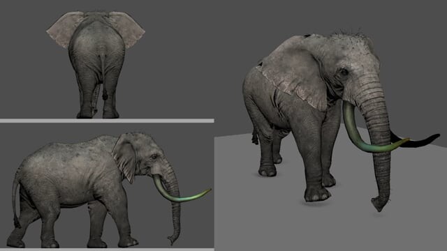 ArtStation - Elephant walk cycle