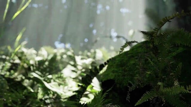 ArtStation - Authentic Forest