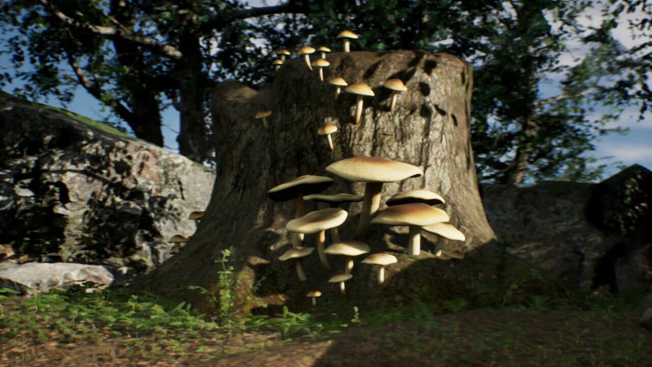 ArtStation - Mushroom Stump Flyby Animation
