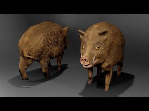 ArtStation - Gameready Animated hog
