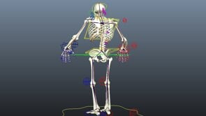ArtStation - CGMA - Intro to rigging showreel