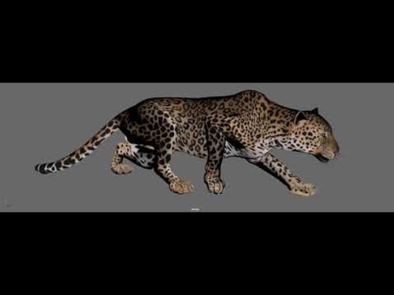 ArtStation - Tim Poulin