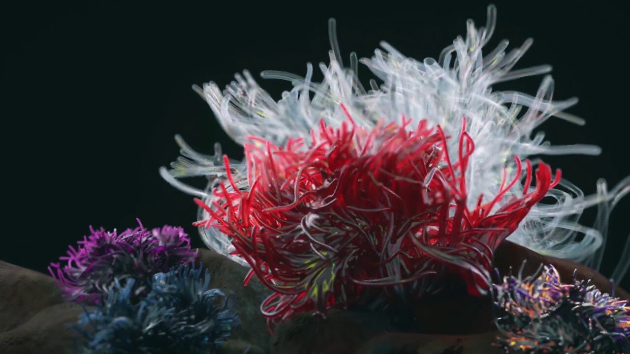 ArtStation - anemone mutante