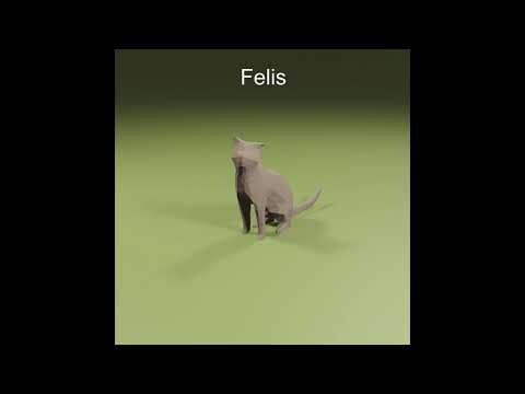 ArtStation - Shapeshifter Game Character Felis Animations