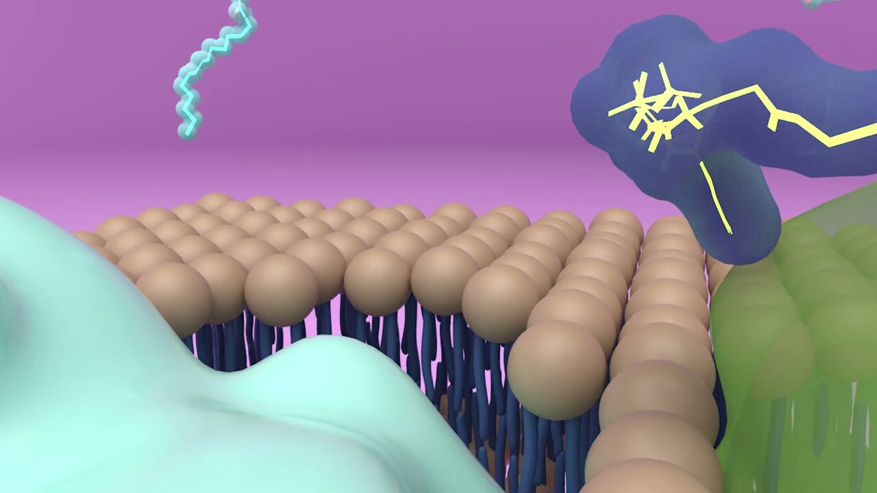 ArtStation - Biochem Pathway