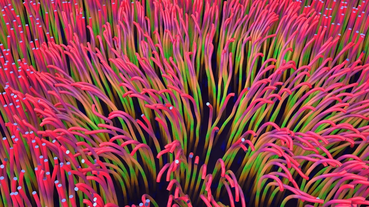 ArtStation - Finfing Nemo Plants