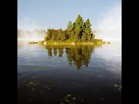 ArtStation - Small island in the middle of a lake