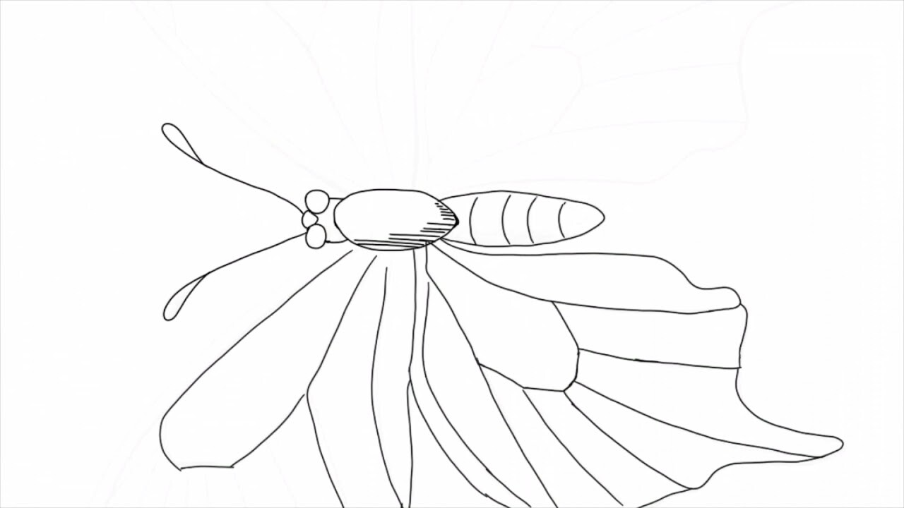 ArtStation - How to draw Butterfly part 1 || CYBERNATED art || part 1