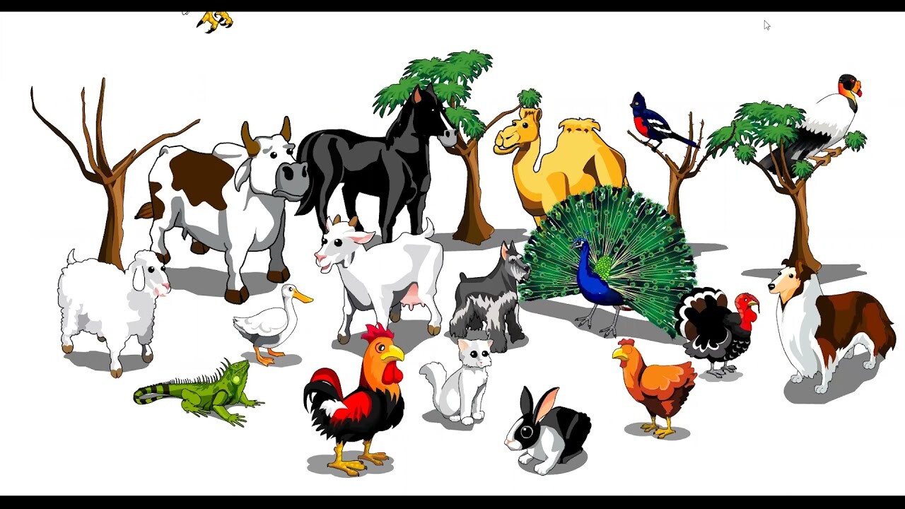 ArtStation - Flash animals