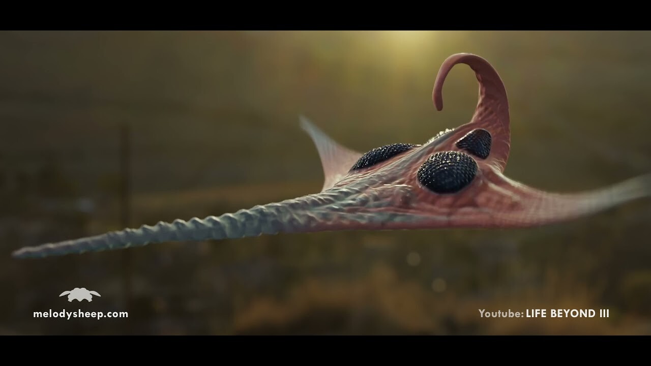 ArtStation - Life Beyond 3 - "Smaller ones" - melodysheep