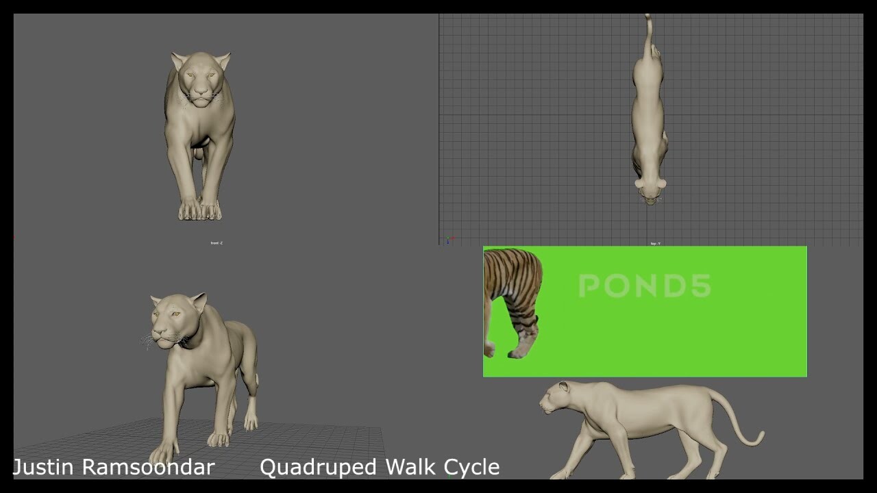 ArtStation - Quadruped Walk Cycle