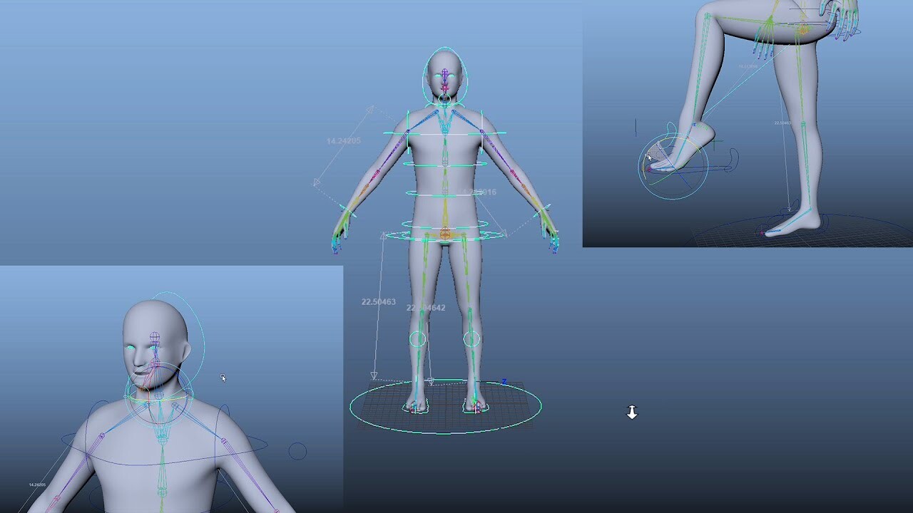 ArtStation - ORGANIC BIPED RIG