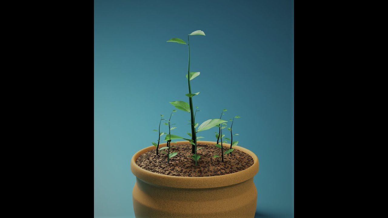 ArtStation - Sapling Growth and Christmas Tree (Blender Geometry Nodes)