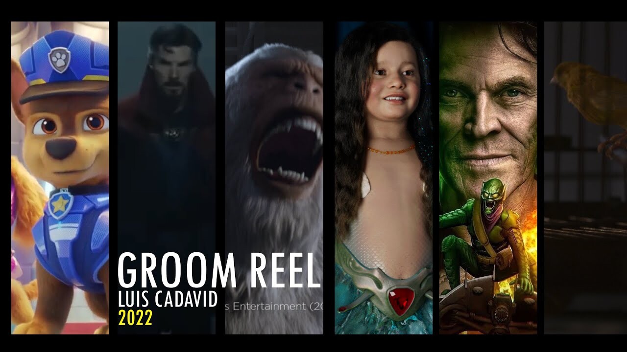 ArtStation - Groom REEL 2022