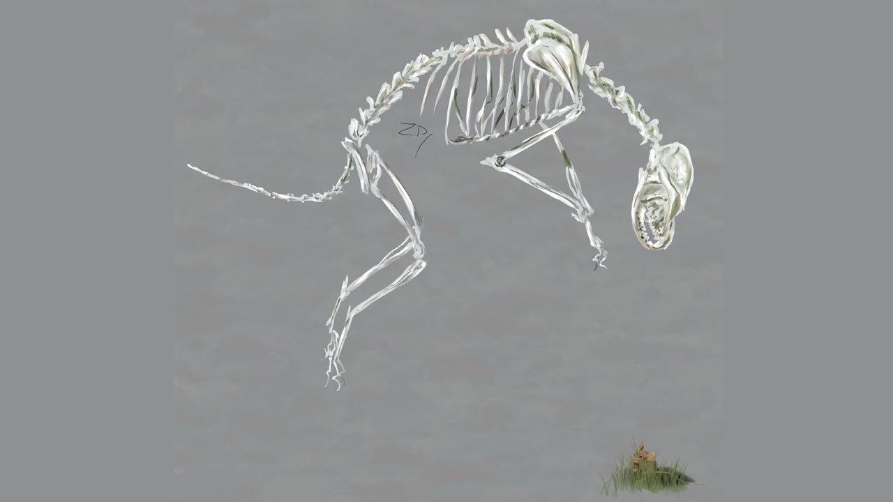 ArtStation - Predator and Prey