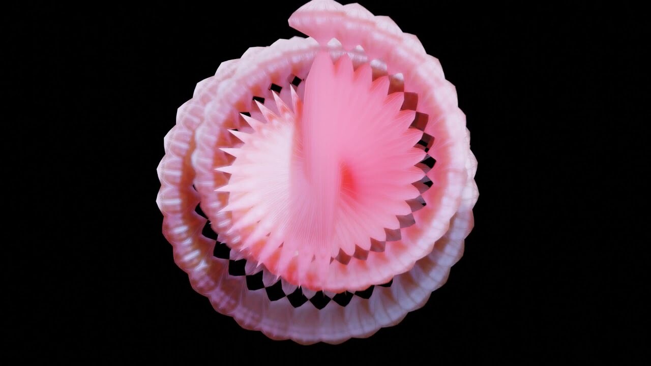 ArtStation - Bloom geometry animation