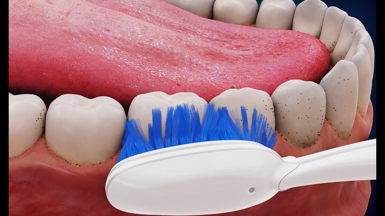 ArtStation - 3D Teeth - water flosser - ToothBrush