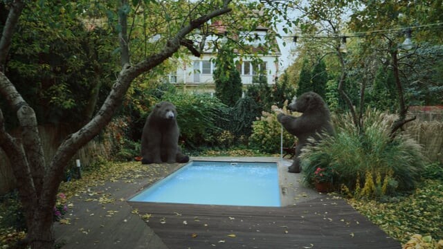 ArtStation - Bears at the pool