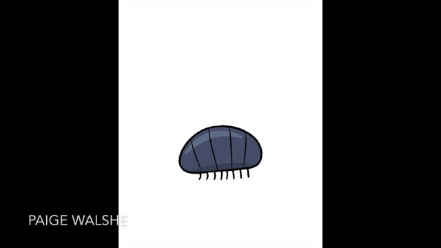 ArtStation - Rolly Polly Animation