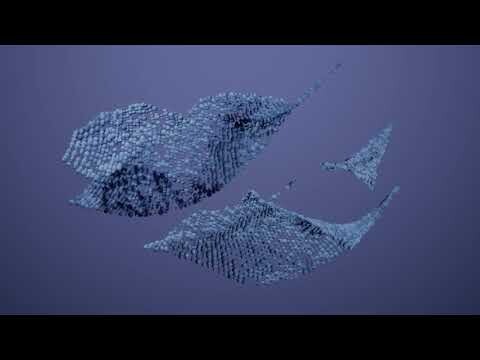 ArtStation - Animation Loop 02