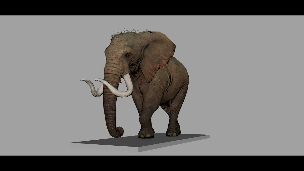 ArtStation - 3D animation of elephant (cycles)