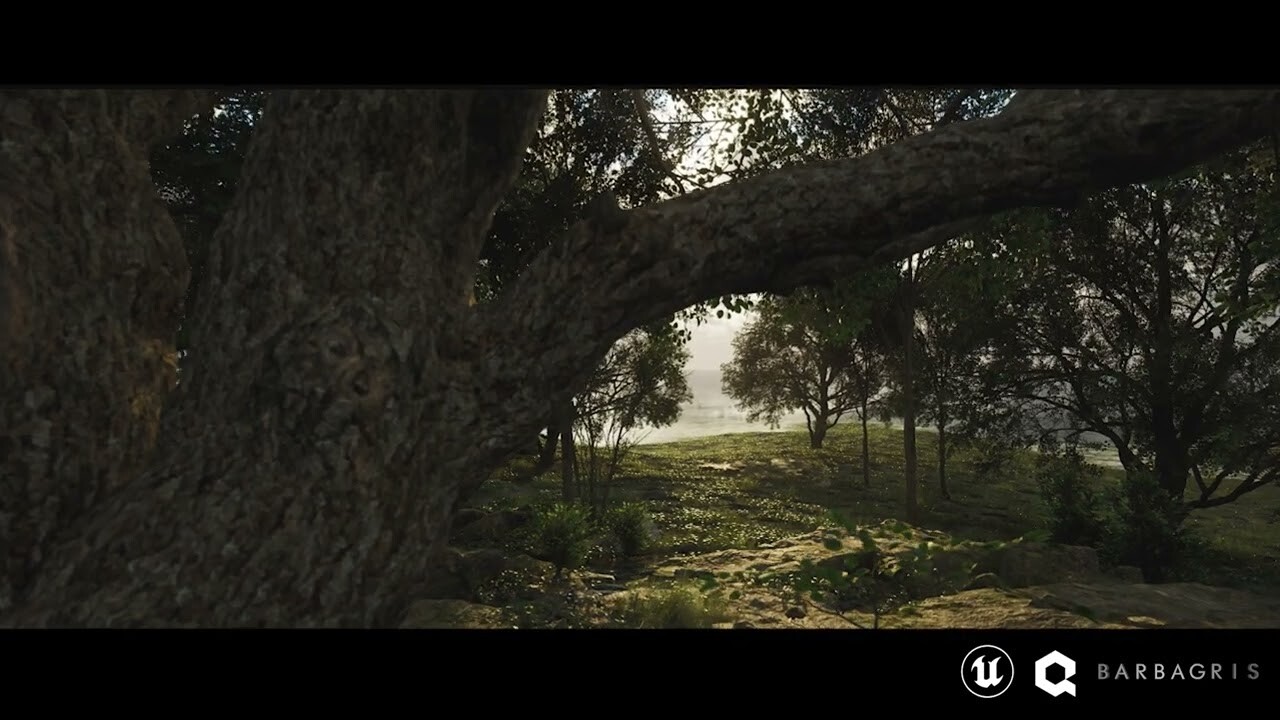 ArtStation - UE5 - Forest Island - Megascans Trees