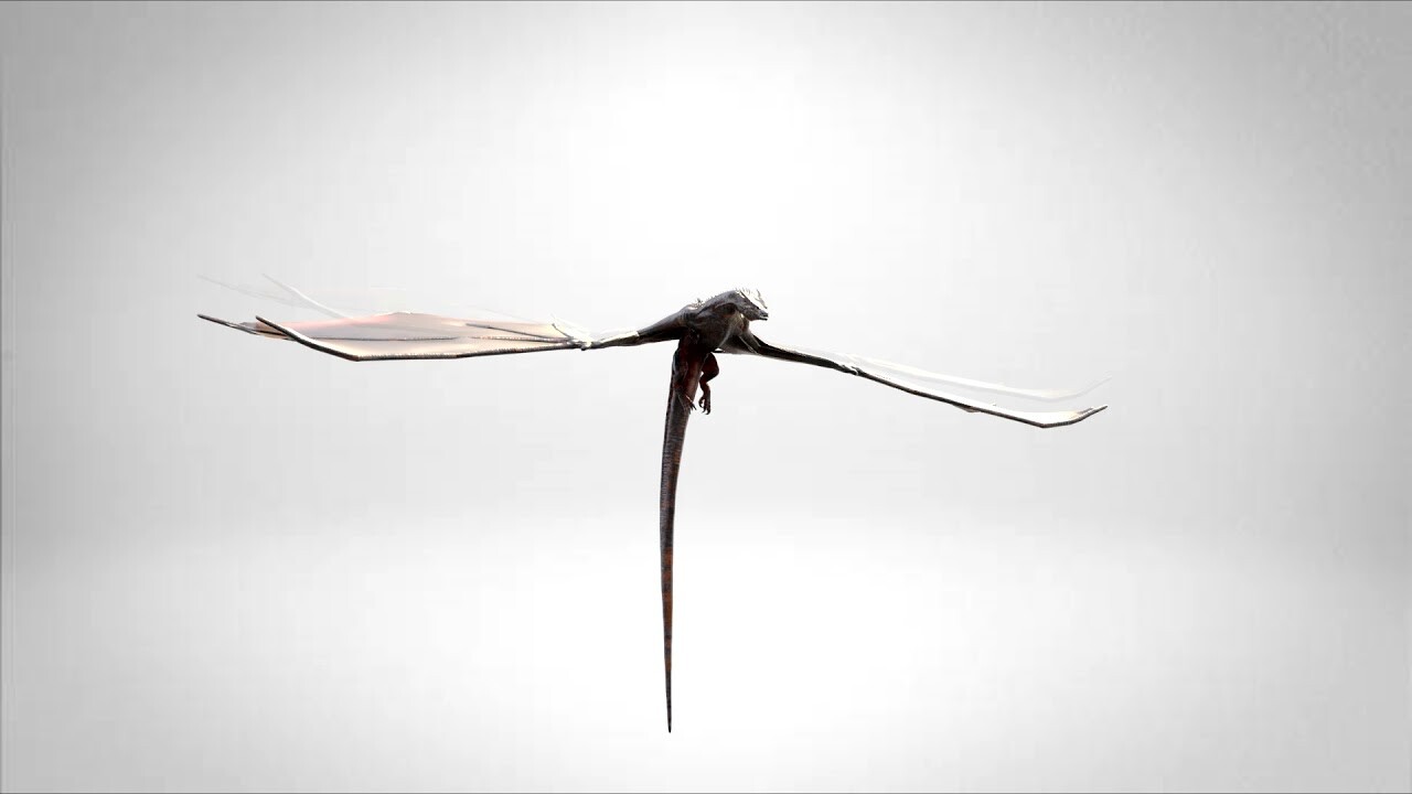 ArtStation - Dragon Loop animation test