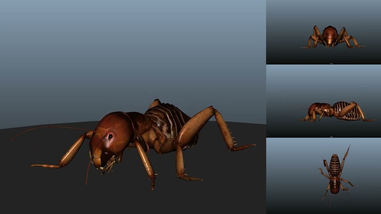 ArtStation - insect walk