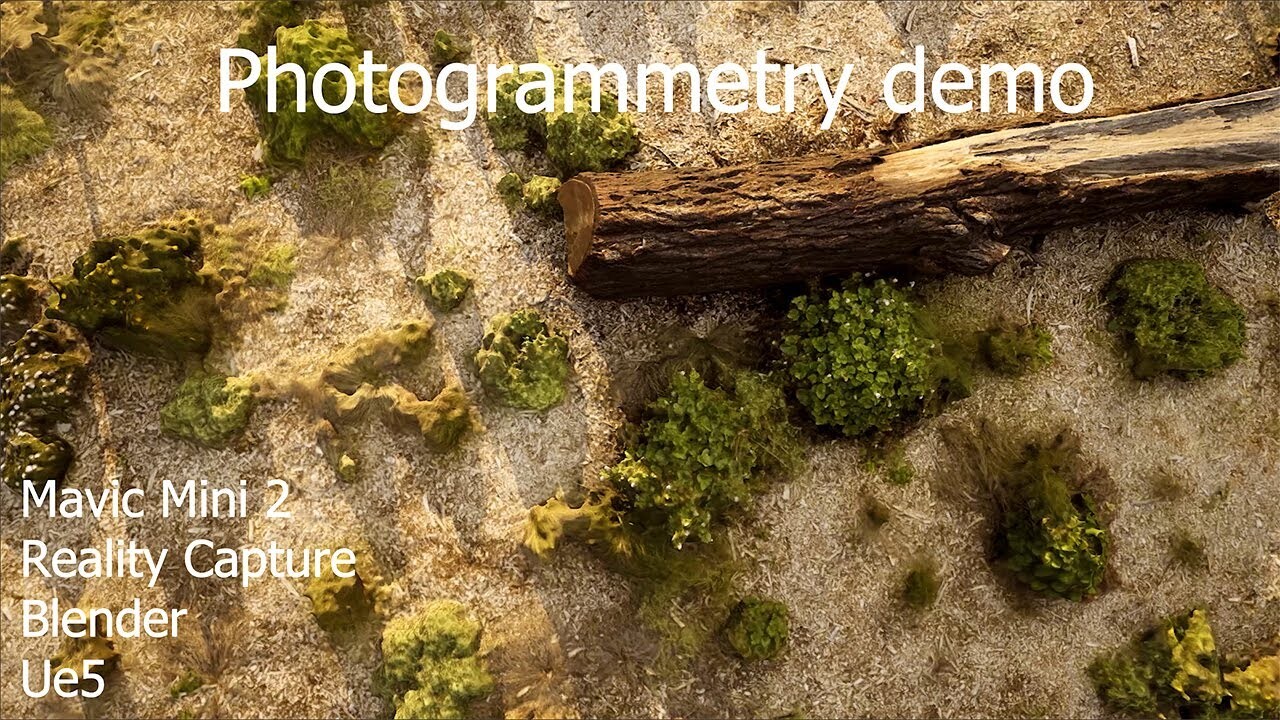 ArtStation - Photogrammetry Demo