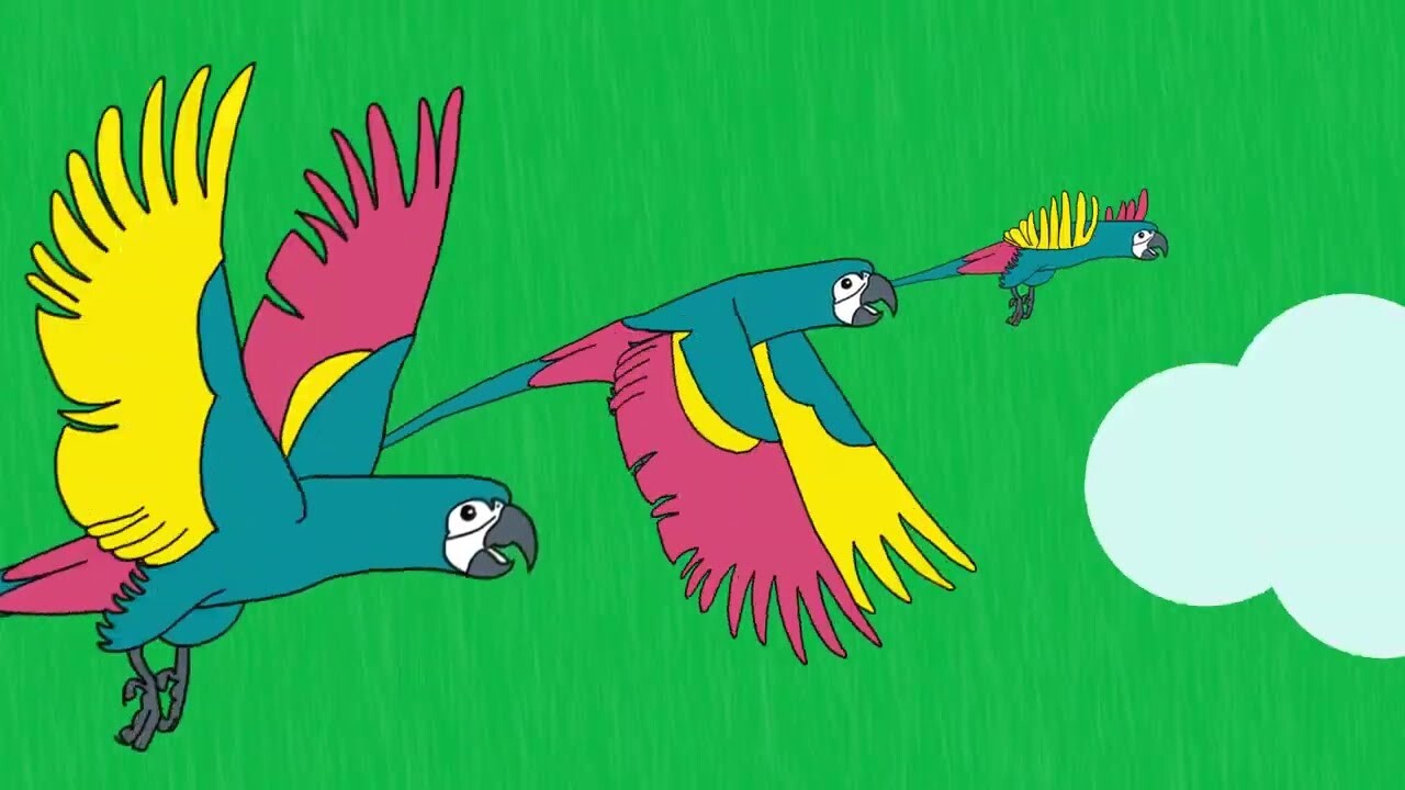 ArtStation - Macaws Flying 2D Animation