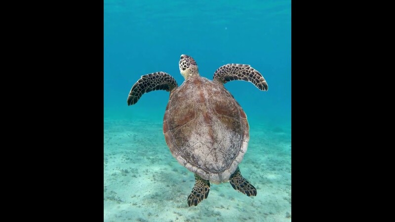 ArtStation - Jad Bou Ajram