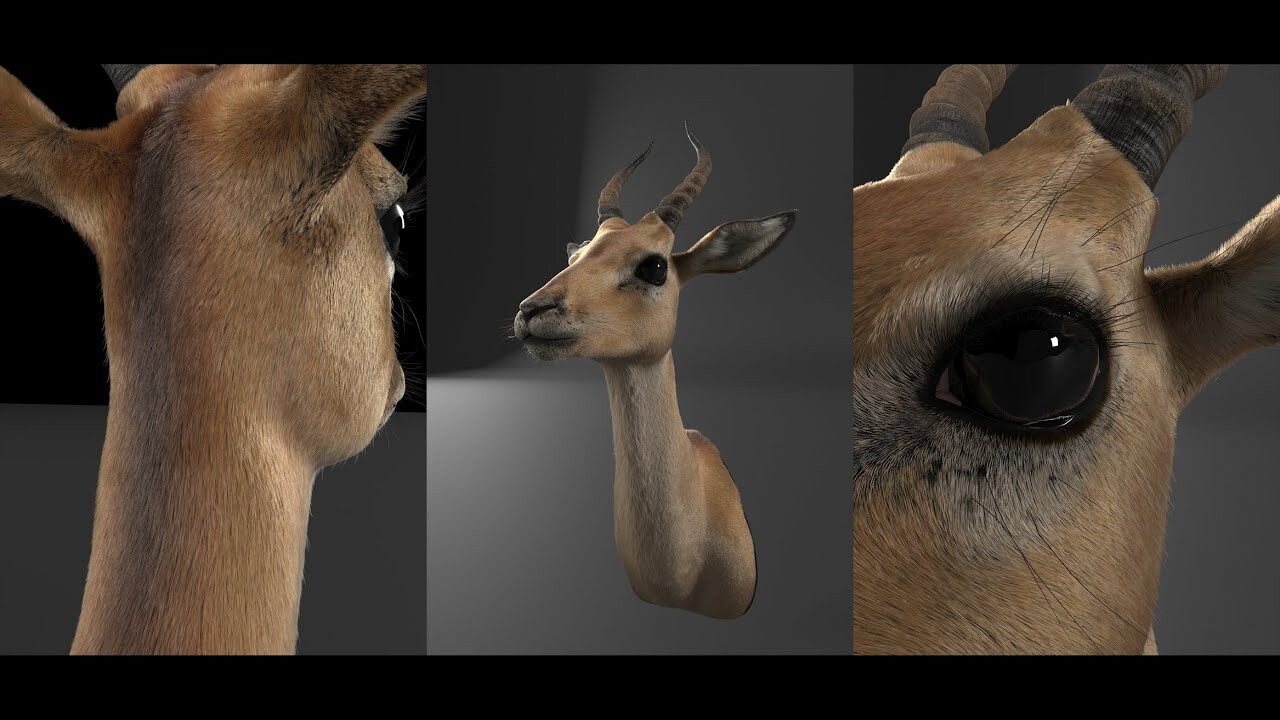 ArtStation - Asset for the TRIBES project