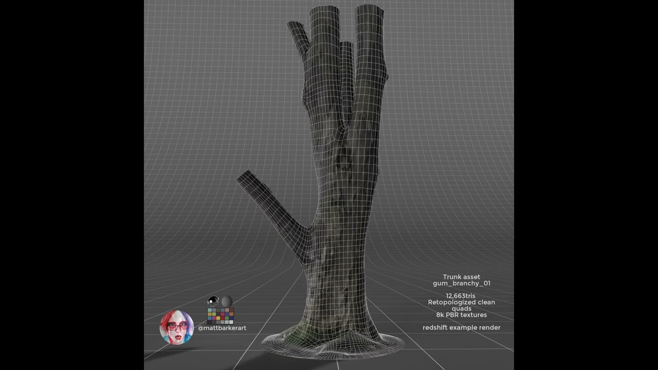 ArtStation - Photogrammetry Gum Trees