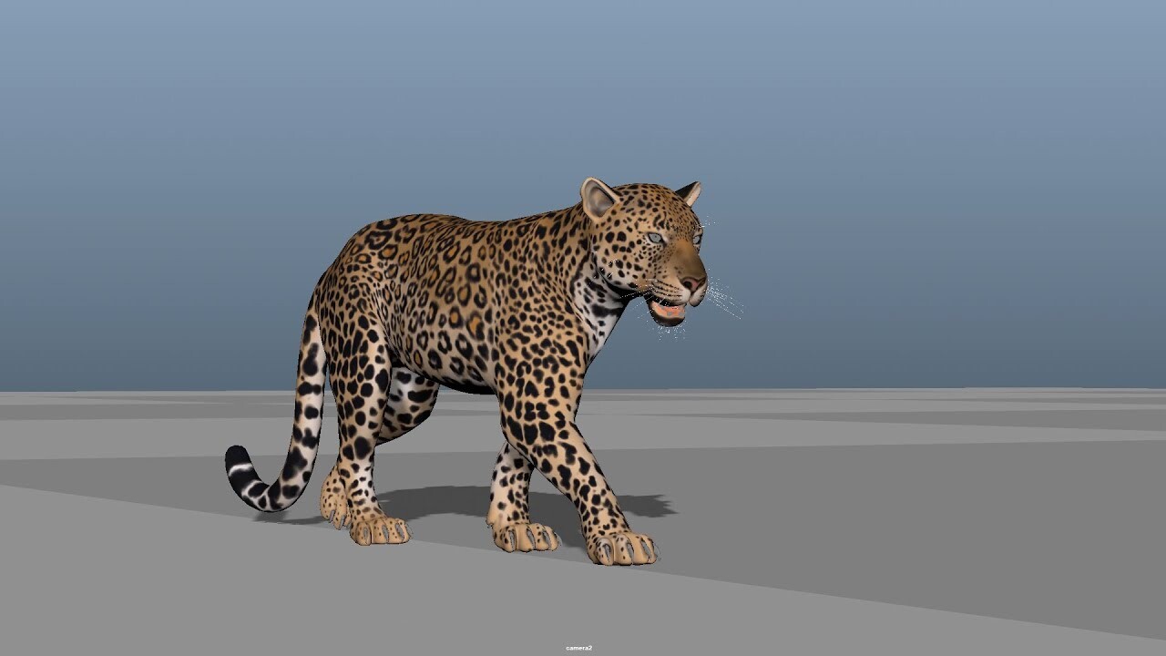 ArtStation - Leopard Walking