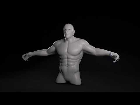 ArtStation - Character Muscle System