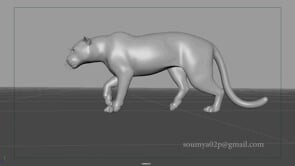ArtStation - leopard_walk_cycle_animation