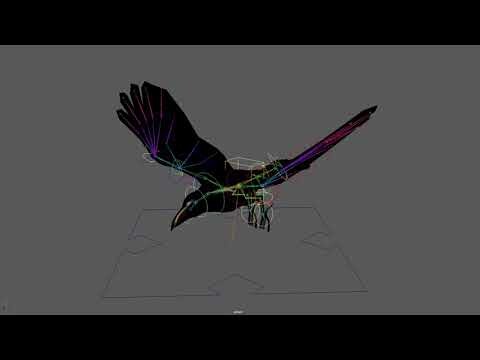ArtStation - Bird_Rigging