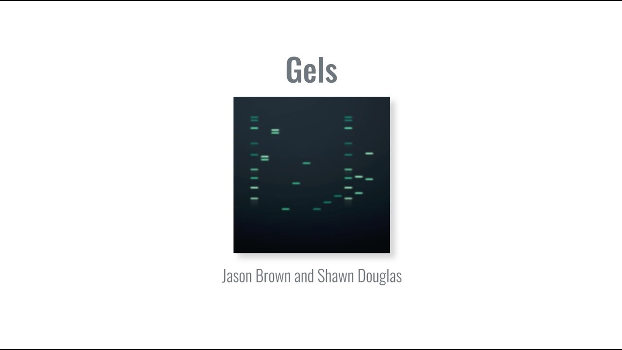 jason brown - Gels - Generative Art - Video