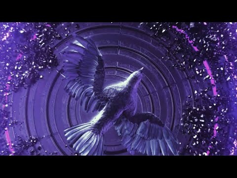 ArtStation - Baltimore Ravens Hype Video