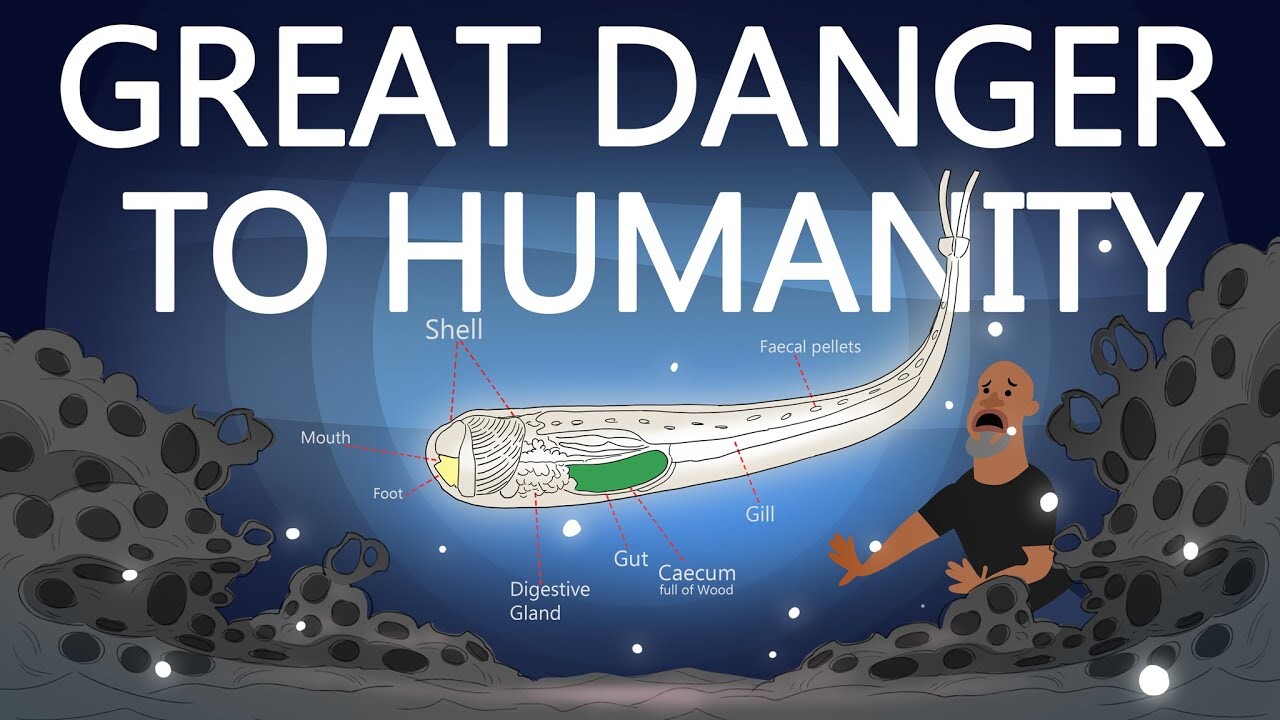 ArtStation - Shipworms