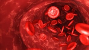 ArtStation - Red blood cell animation